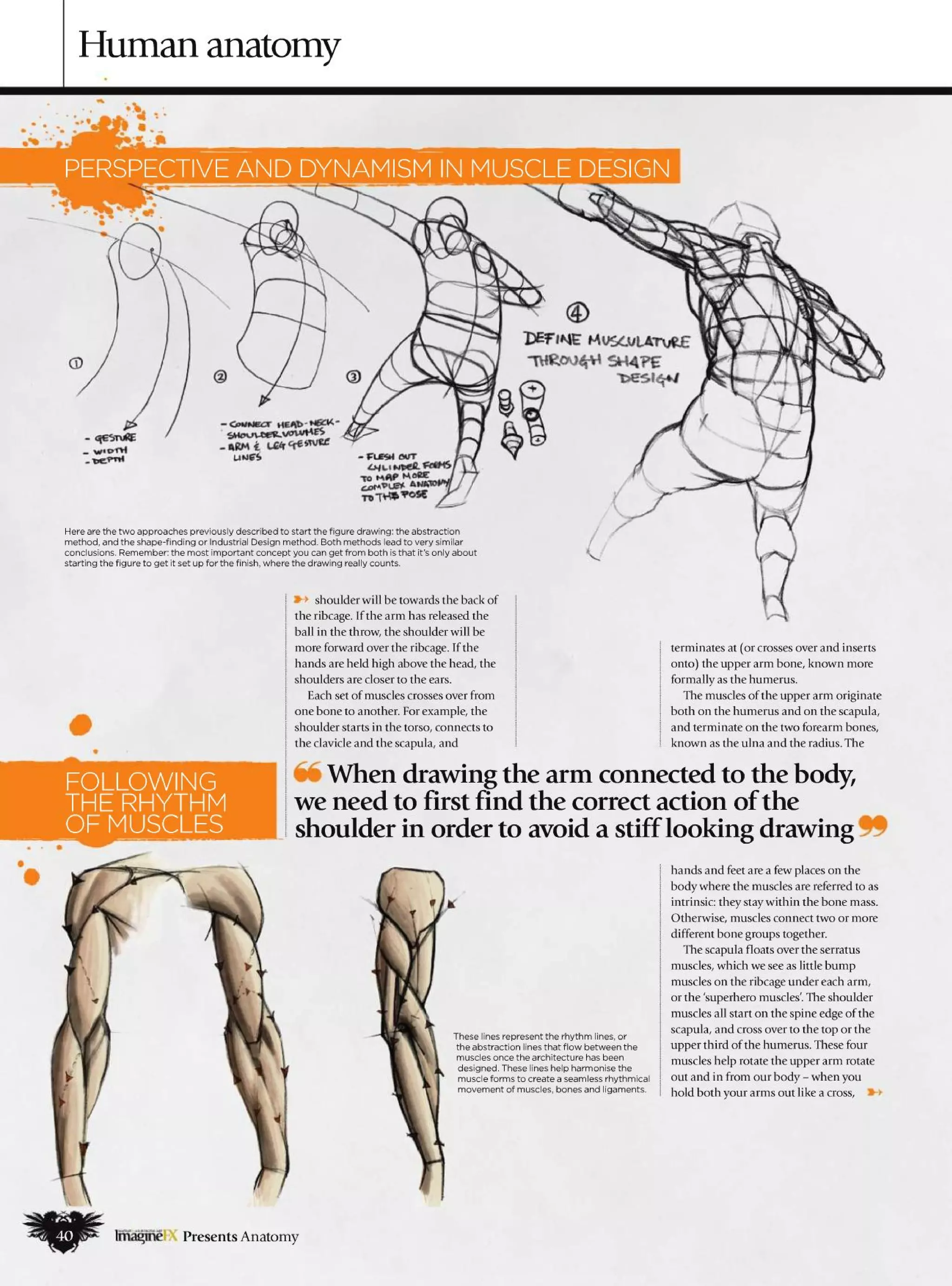 Imaginefx how-to-draw-and-paint-anatomy-2010- | PDF