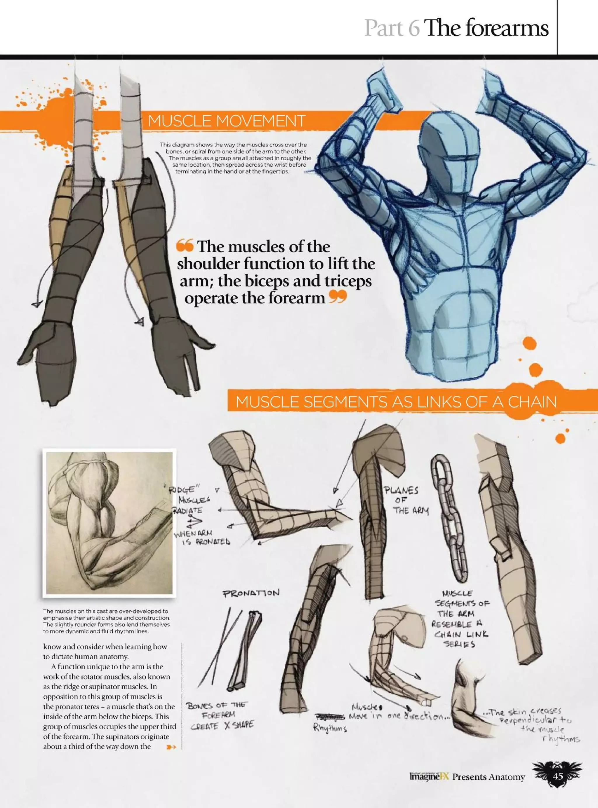 Imaginefx how-to-draw-and-paint-anatomy-2010- | PDF
