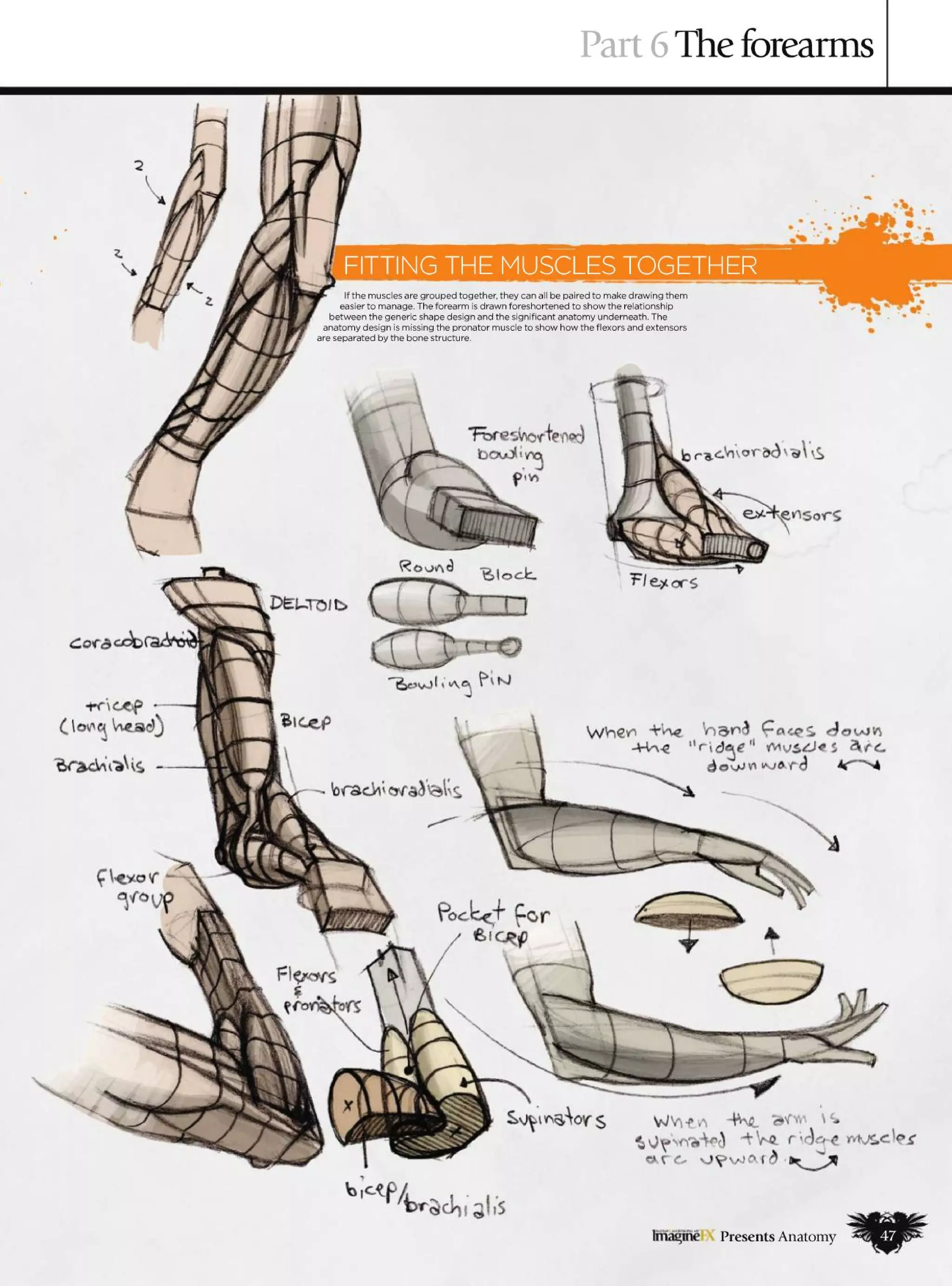 Imaginefx how-to-draw-and-paint-anatomy-2010- | PDF