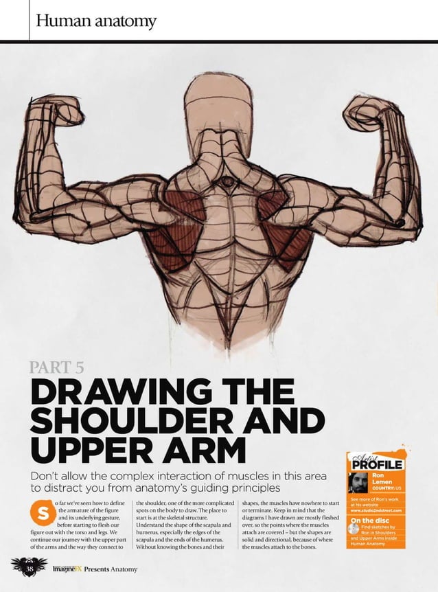 Imaginefx How To Draw And Paint Anatomy 2010 Pdf