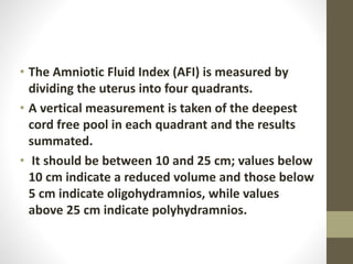 radiology & imaging in OB/GYN | PPT