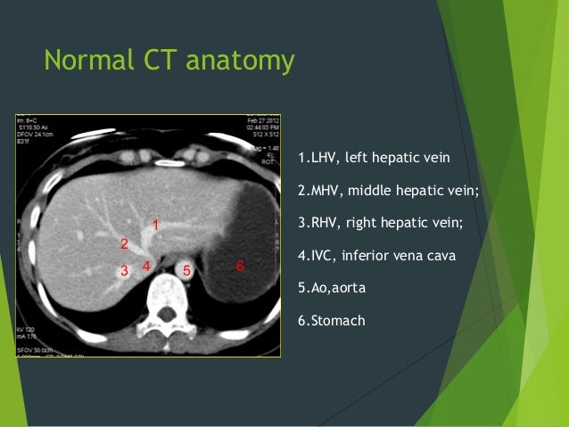 Imaging features of hepatobiliary and pancretic ds