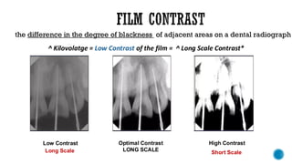 Imaging-Principles-Projection-Geometry-Rad.Films (1).pdf