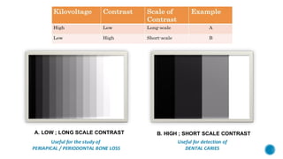 Imaging-Principles-Projection-Geometry-Rad.Films (1).pdf