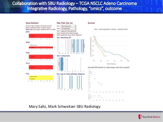 Pathomics Based Biomarkers and Precision Medicine
