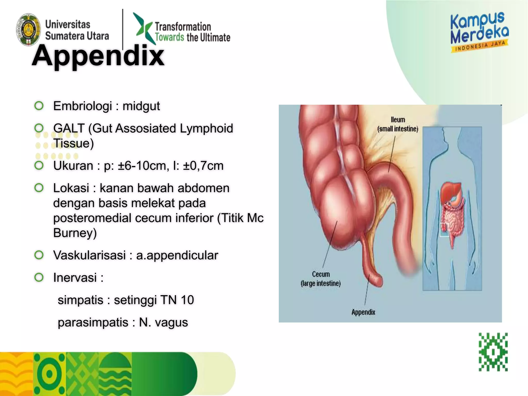imaging acute appendicitisss.ppt