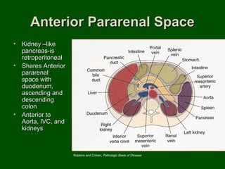 Imaging acute pancreatitis | PPT
