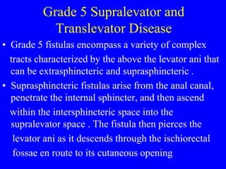 Imaging of Anal Fistulae and perianal abscesses | PPT