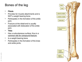 Imaging anatomy injuries of the leg and foot | PPT