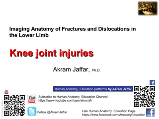 Imaging anatomy knee injuries | PPT