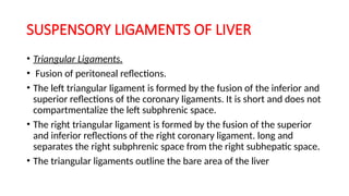 IMAGING ANATOMY OF PERITONEAL SPACES.pptx