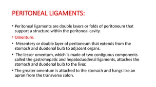IMAGING ANATOMY OF PERITONEAL SPACES.pptx