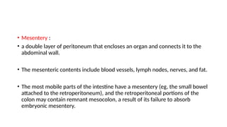 IMAGING ANATOMY OF PERITONEAL SPACES.pptx