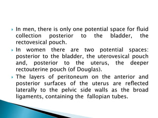 imaginganatomyofperitoneum-170126182046.pdf