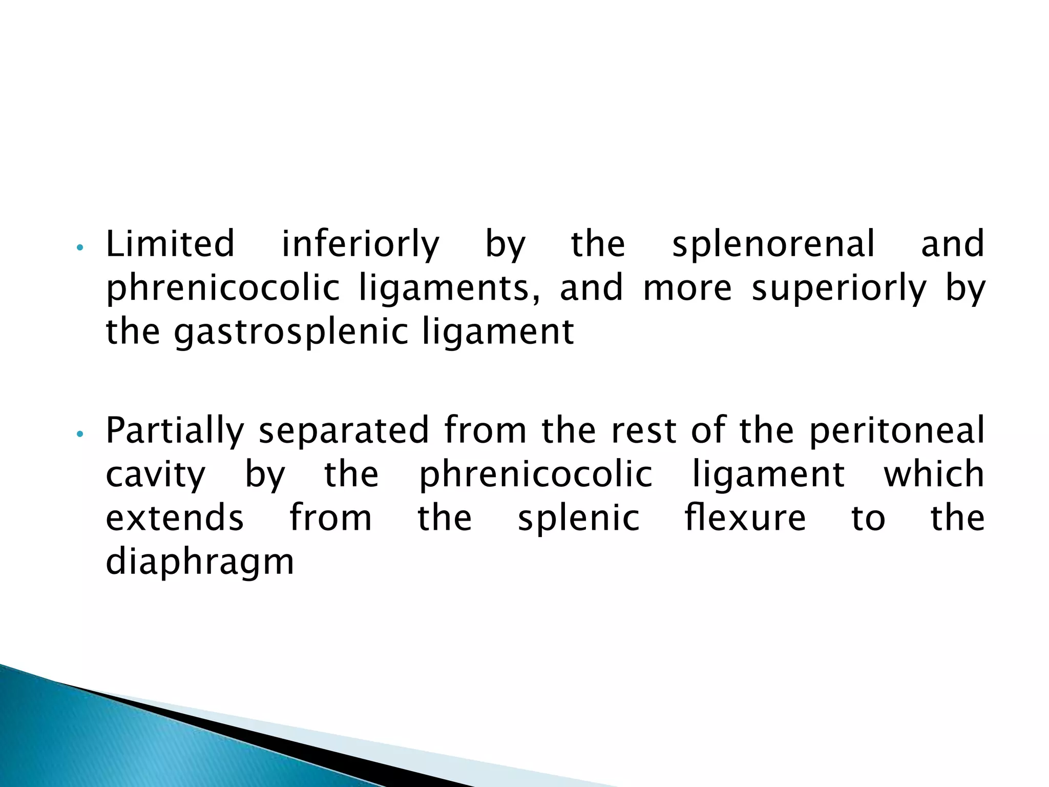 Imaging anatomy of peritoneum | PPTX