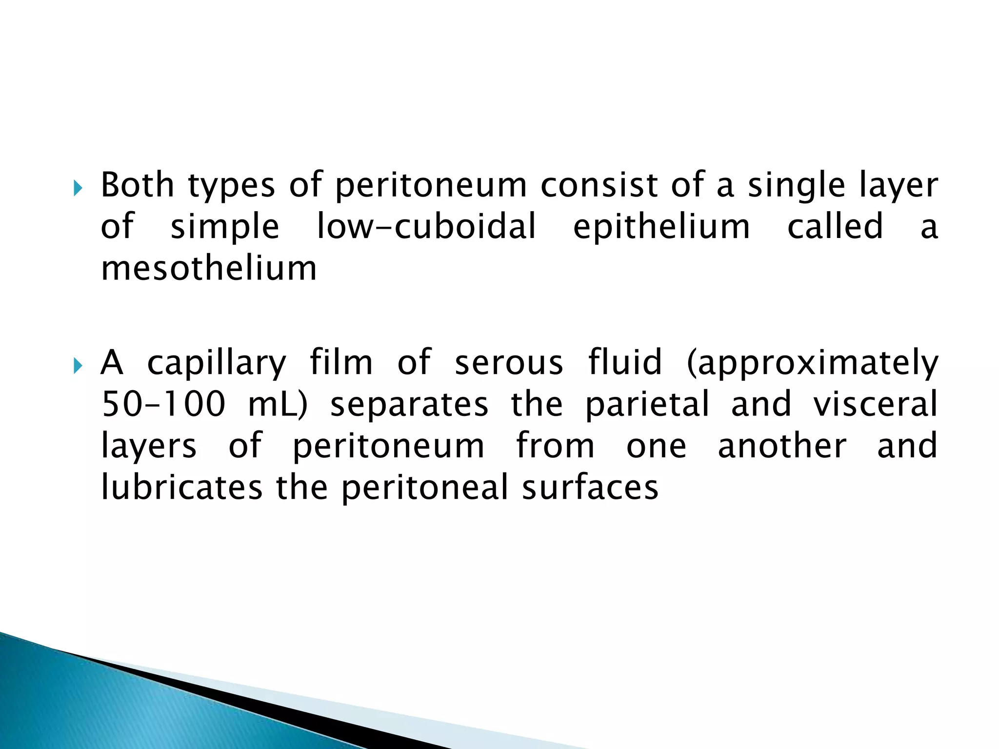 Imaging anatomy of peritoneum | PPTX