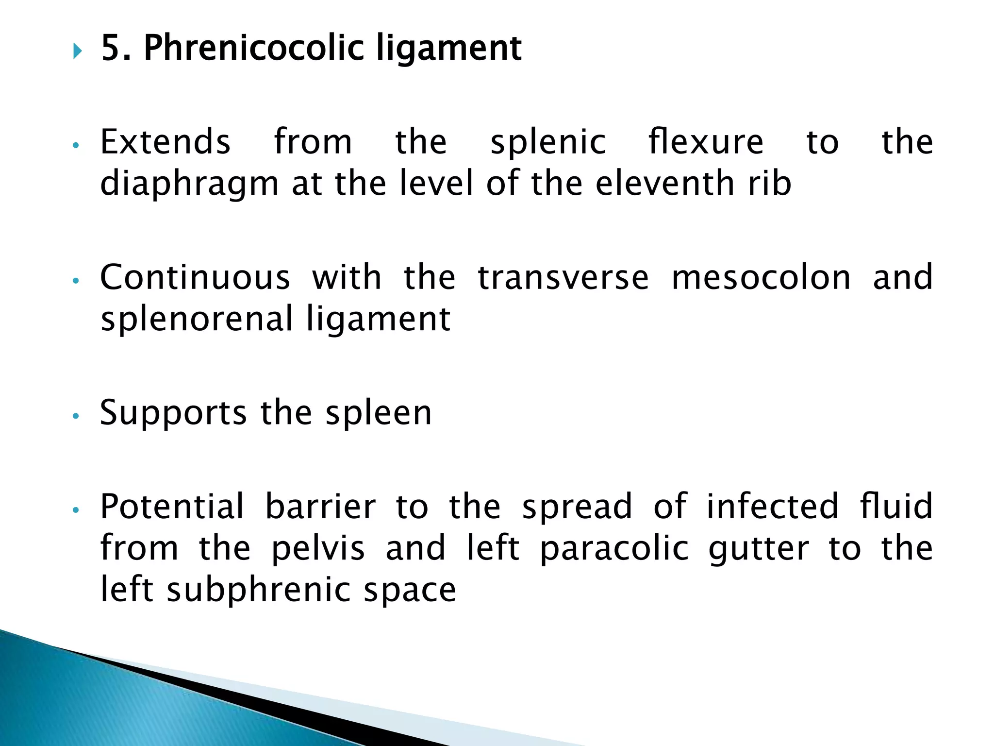 Imaging anatomy of peritoneum | PPTX