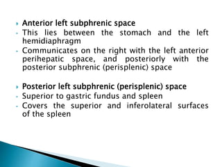 Imaging anatomy of peritoneum | PPTX
