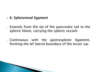 Imaging anatomy of peritoneum | PPTX