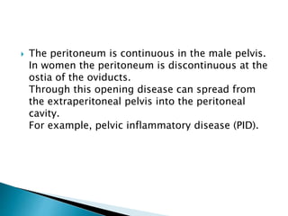 Imaging anatomy of peritoneum | PPTX