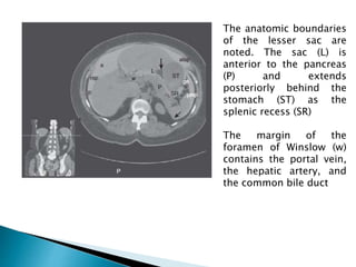 Lesser Sac Ultrasound