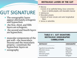 Imaging anatomy of small intestine | PPTX