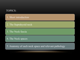 IMAGING ANATOMY OF SUPRAHYOID NECK SPACES copy.pptx