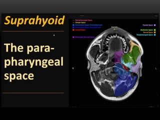 IMAGING ANATOMY OF SUPRAHYOID NECK SPACES copy.pptx