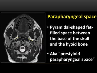 IMAGING ANATOMY OF SUPRAHYOID NECK SPACES copy.pptx