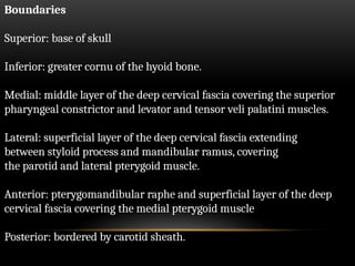IMAGING ANATOMY OF SUPRAHYOID NECK SPACES copy.pptx