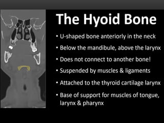 IMAGING ANATOMY OF SUPRAHYOID NECK SPACES copy.pptx
