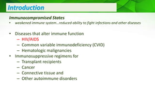 Imaging approach to common respiratory infections in immuno-compromised ...