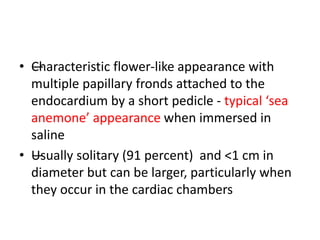 Imaging in Cardiac Tumours | PPTX