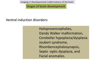 Imaging in developmental malformations of the brain | PPTX