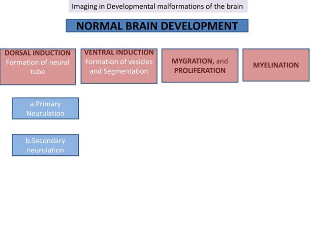 Imaging in developmental malformations of the brain | PPT