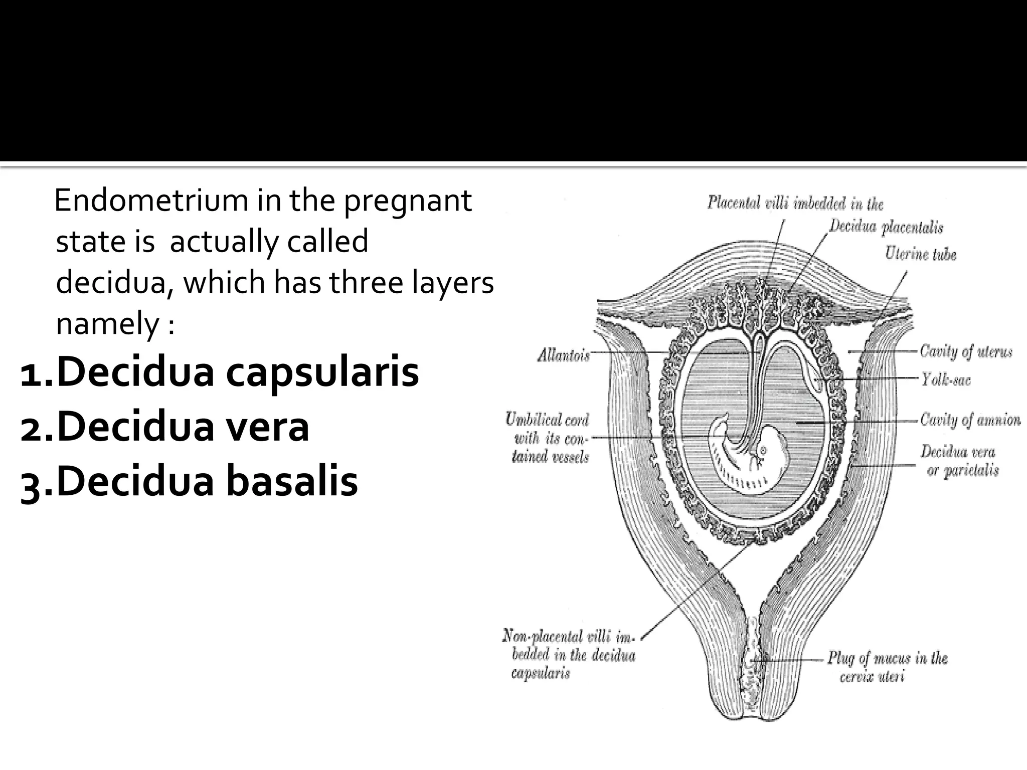 Imaging in first trimester | PPTX