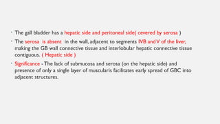 IMAGING IN GALL BLADDER NEOPLA.....SM.pptx