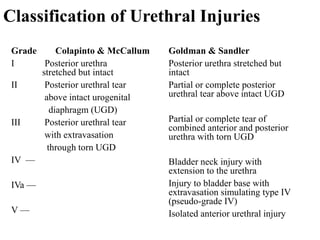 Imaging In Genitourinary Trauma PPT