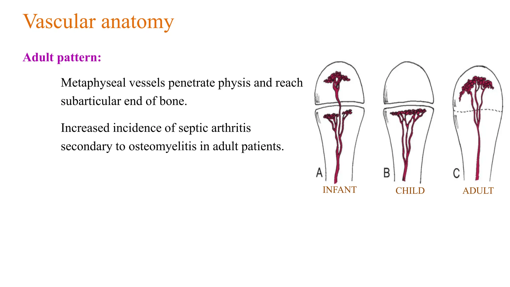Imaging in infections of bones and joints2.pptx