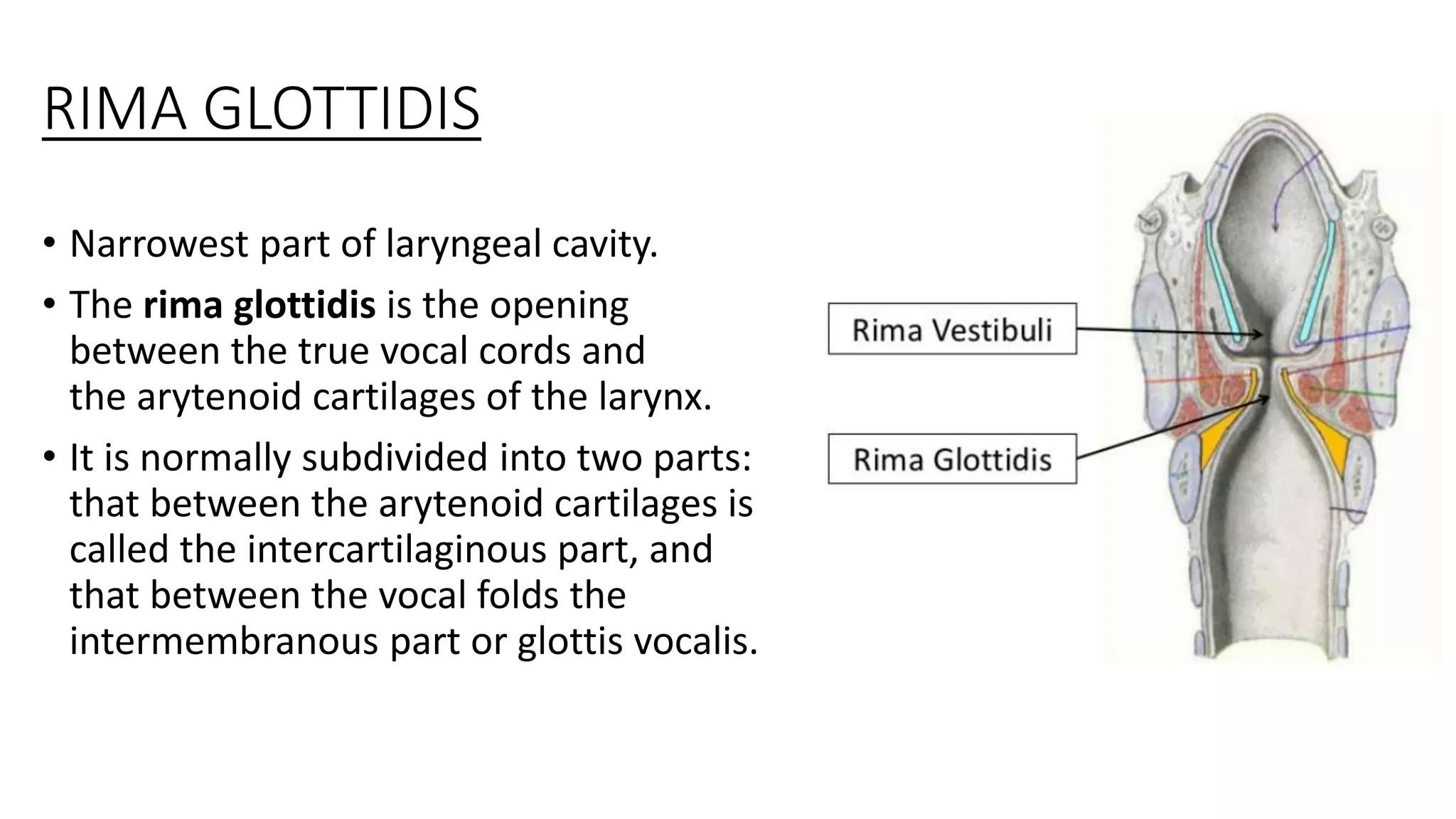 Imaging in laryngeal malignancy | PPTX