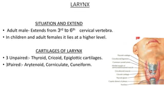 Imaging in laryngeal malignancy | PPTX