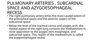 IMAGING IN MEDIASTINUM.pptx............... | PPTX