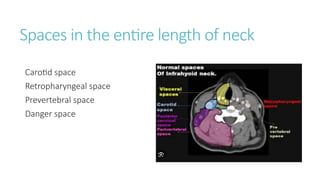 IMAGING IN NECK SPACES.POWERPOINT PRESENTATION | PPTX