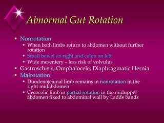 IMAGING IN NEONATAL GIT | PPTX