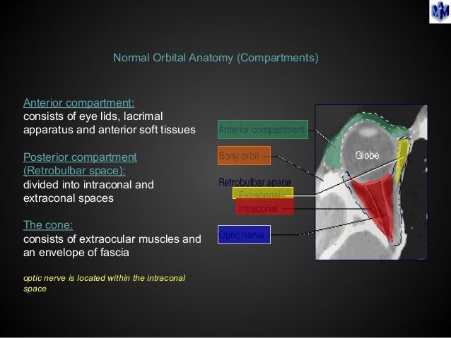 Imaging in neuro ophthalmology & revisting orbital imaging.2012 (1)