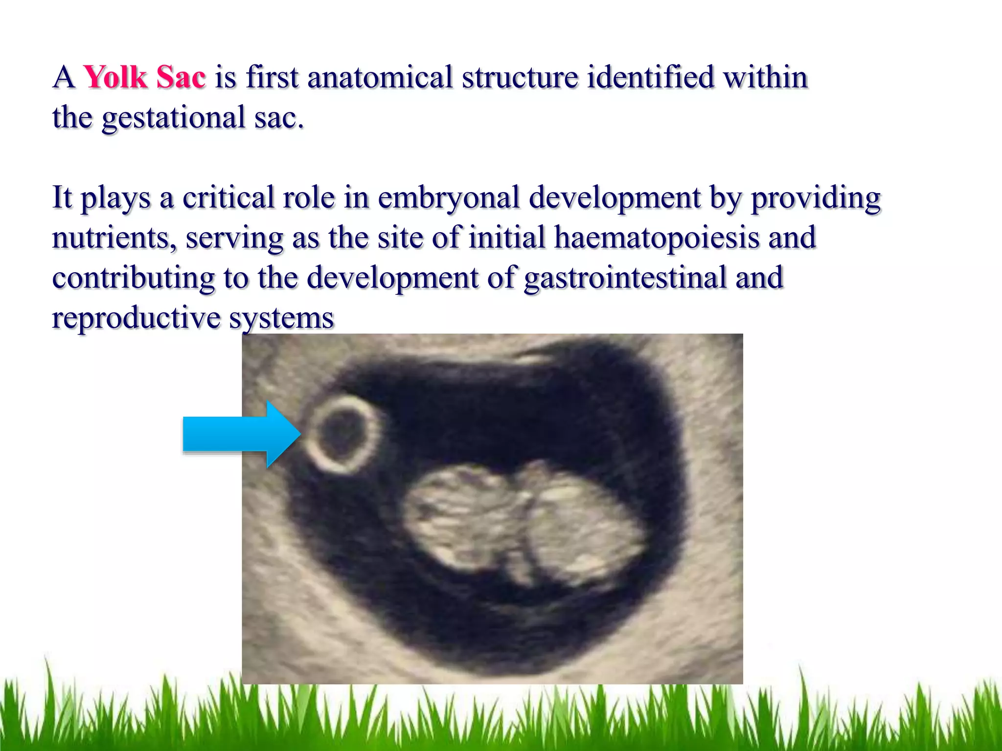 Imaging in obstetrics & gynaecology | PPTX