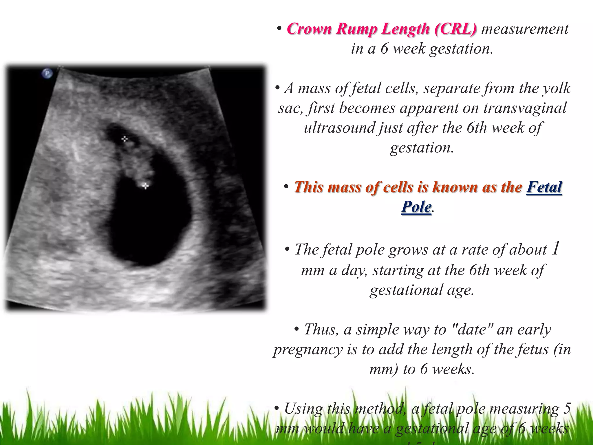 Imaging in obstetrics & gynaecology | PPTX