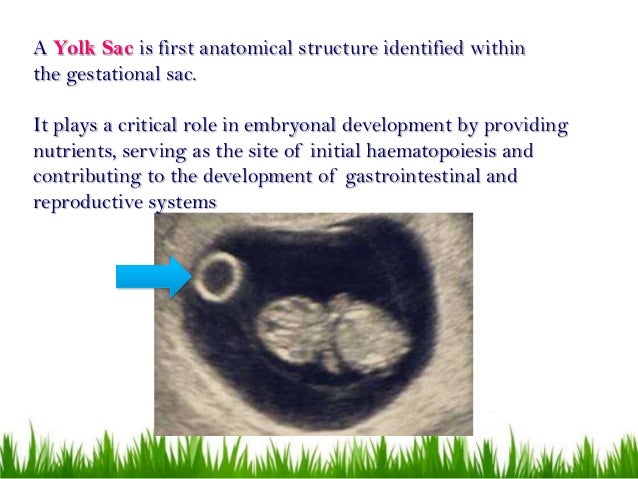 Imaging in obstetrics & gynaecology part 2