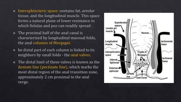 Radiological Imaging In Perianal Fistula Ppt Free Download