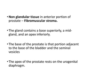 Imaging in prostatic patholgy | PPTX